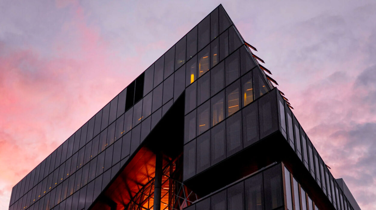 Media Gallery | Emirates Stallions Group Visual Highlights