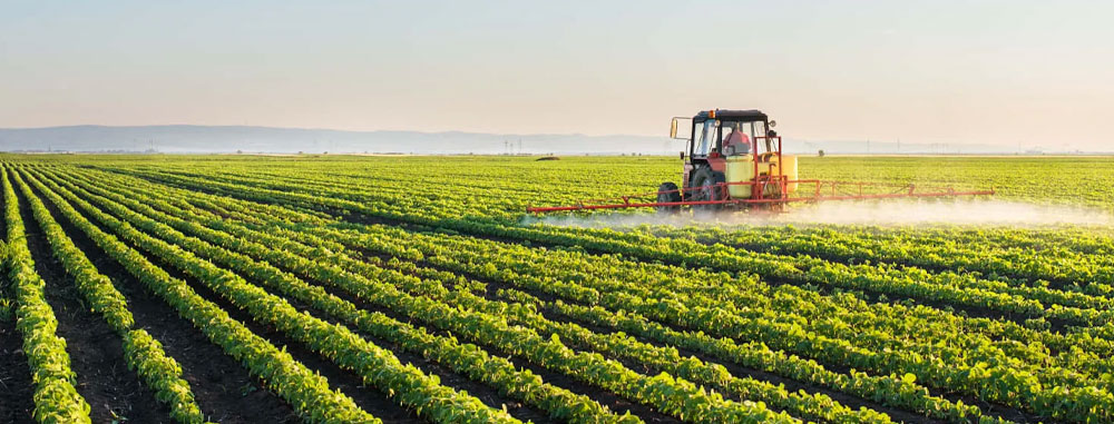 ESG - Emirates Stallions Group (ESG)